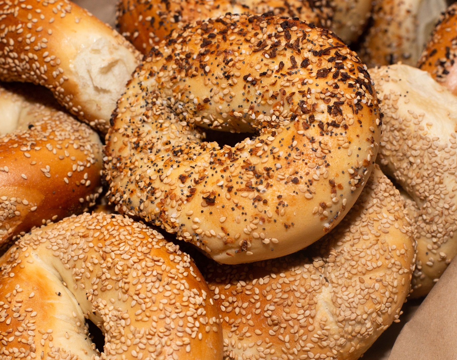 Types of Bagels and the Ongoing Rivalry for the Top of the Podium